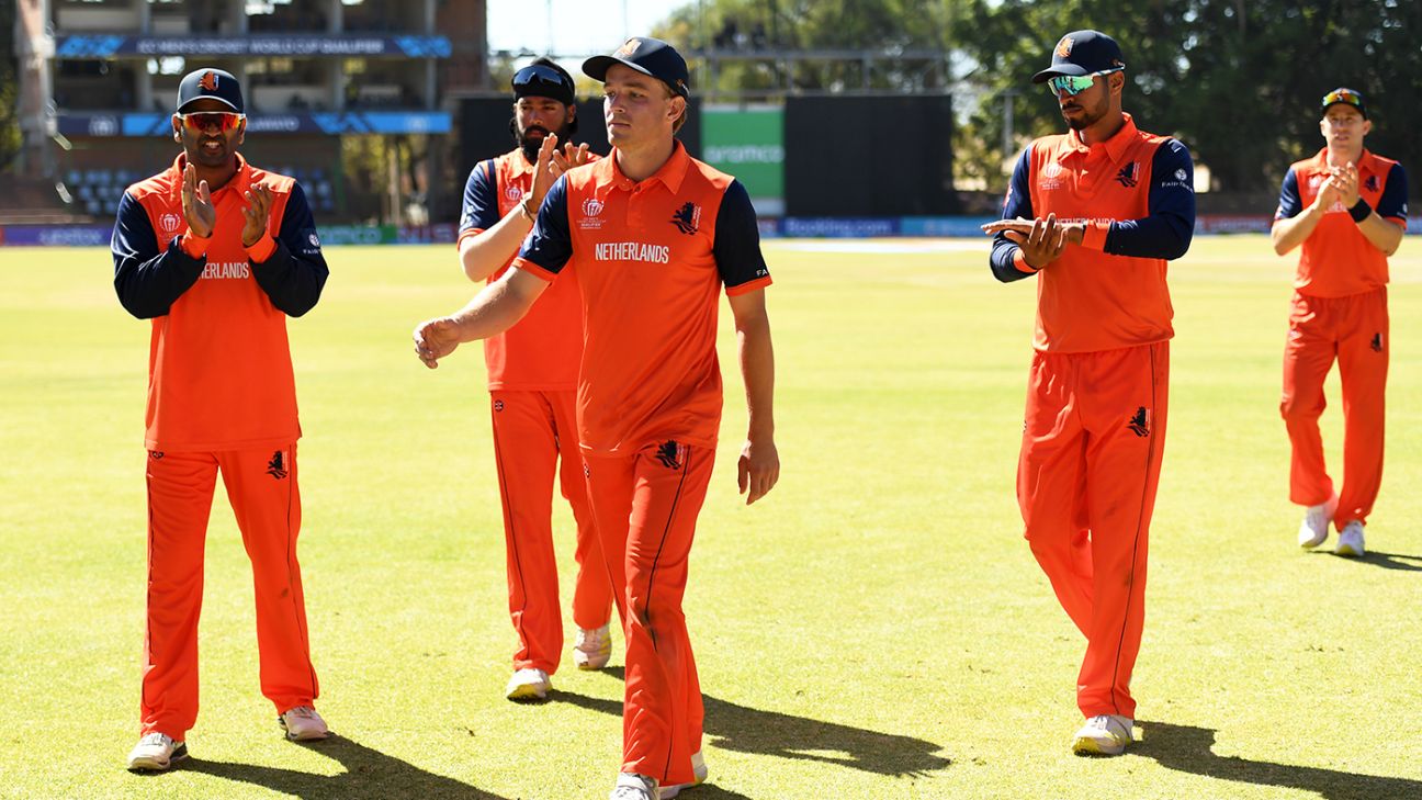 Father and son at World Cups: the different journeys of Tim and Bas de ...