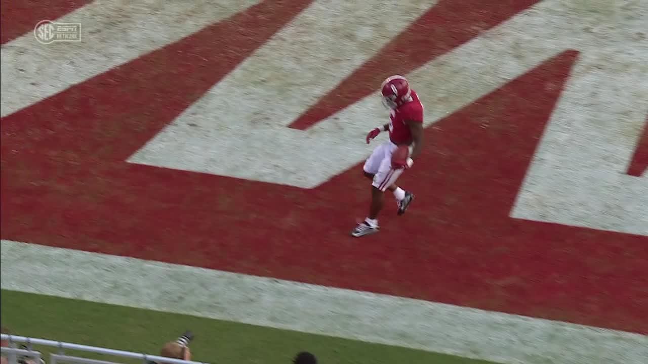 End Zone Trey Sanders Scores 1 Yard Rushing Td Espn Video