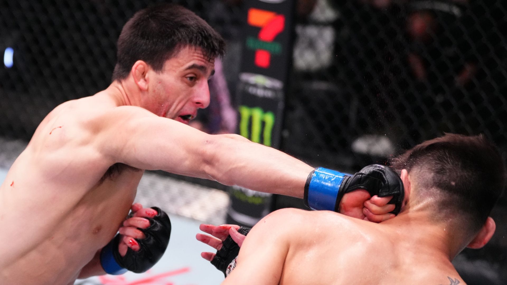 Steve Erceg puts Matt Schnell to sleep with a vicious right hand - ESPN ...
