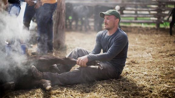 This is Carter Country -- checking in with Standard Films' Mark Carter ...