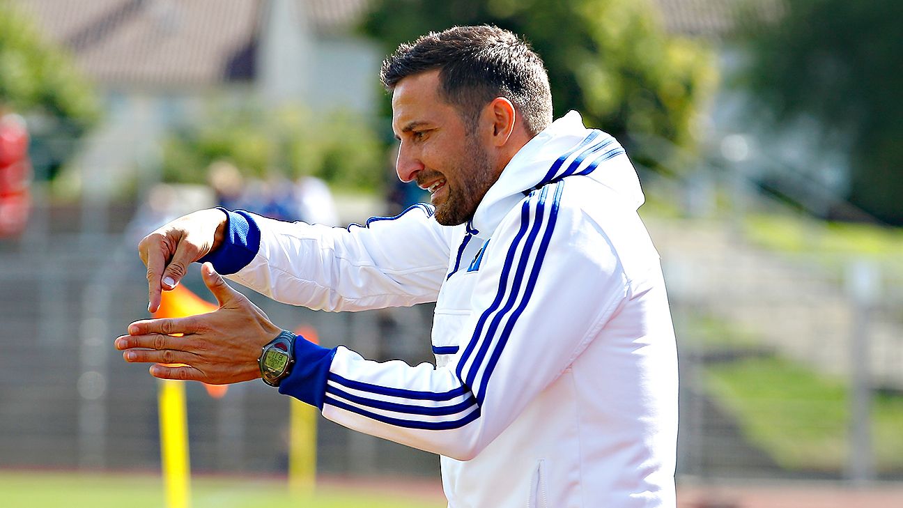 Hamburg can't expect any miracles this season - Joe Zinnbauer - ESPN