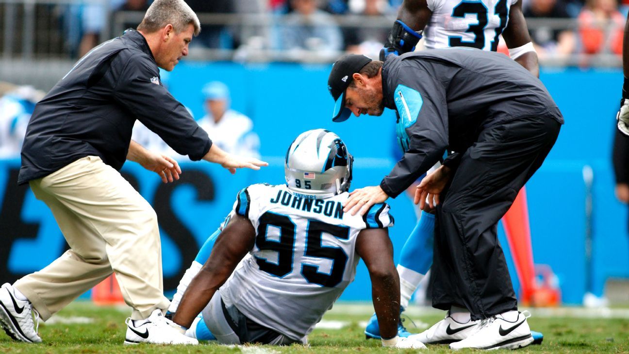 Carolina Panthers place DE Charles Johnson on IR with designation to ...