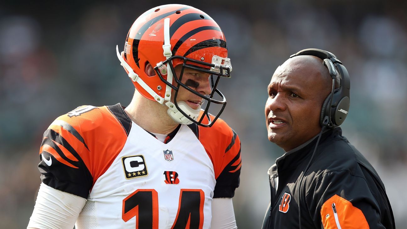 Study NFL coaching diversity crisis - ESPN