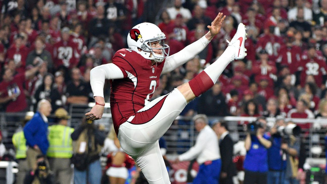 Breaking down Arizona Cardinals punter Drew Butler's contract - ESPN ...