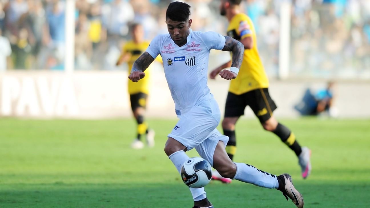Inter Milan bid for Gabriel 'Gabigol' Barbosa accepted by Santos - ESPN