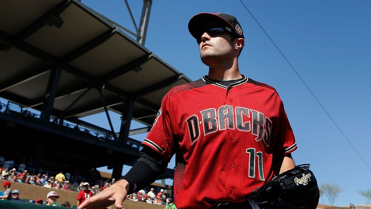 A.J. Pollock -- Returning from elbow injury has been a total team ...