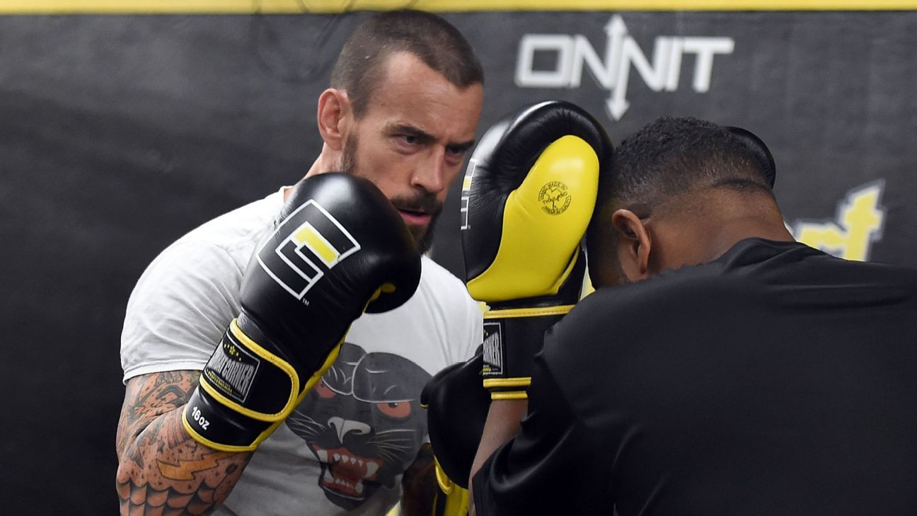 Wrestling stars share their takes on CM Punk's imminent MMA debut at ...
