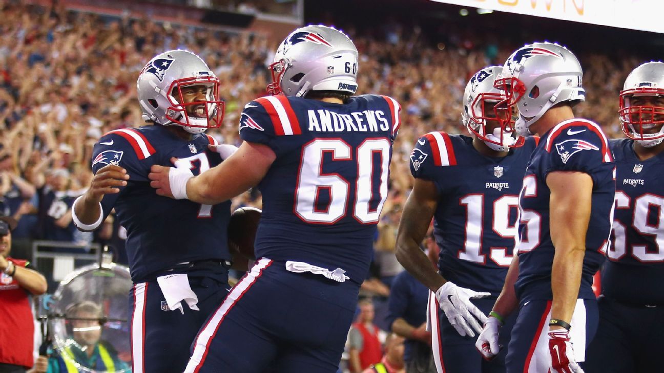 Pats coach Bill Belichick lauds rookie Jacoby Brissett's debut - ESPN