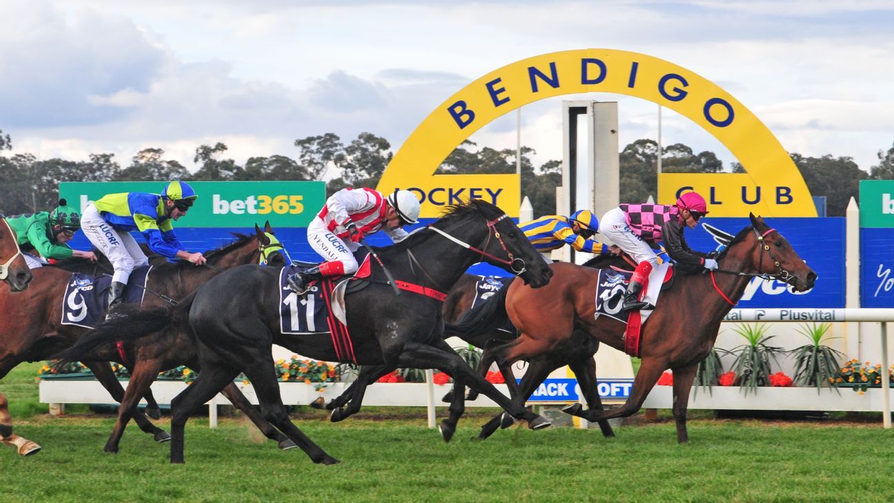 Tributes flow after Donna Philpot Victorian horse racecourse death - ESPN