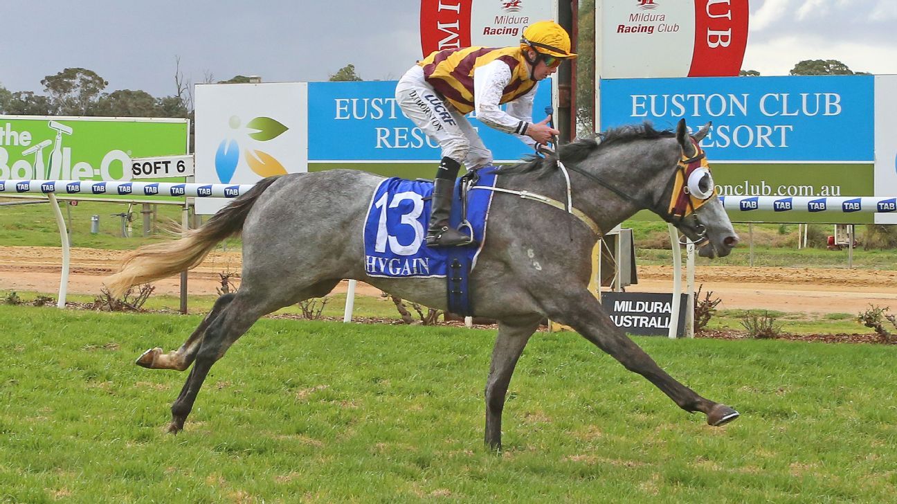 TAB midweek racing preview Epidemic set to break through at Canterbury ...