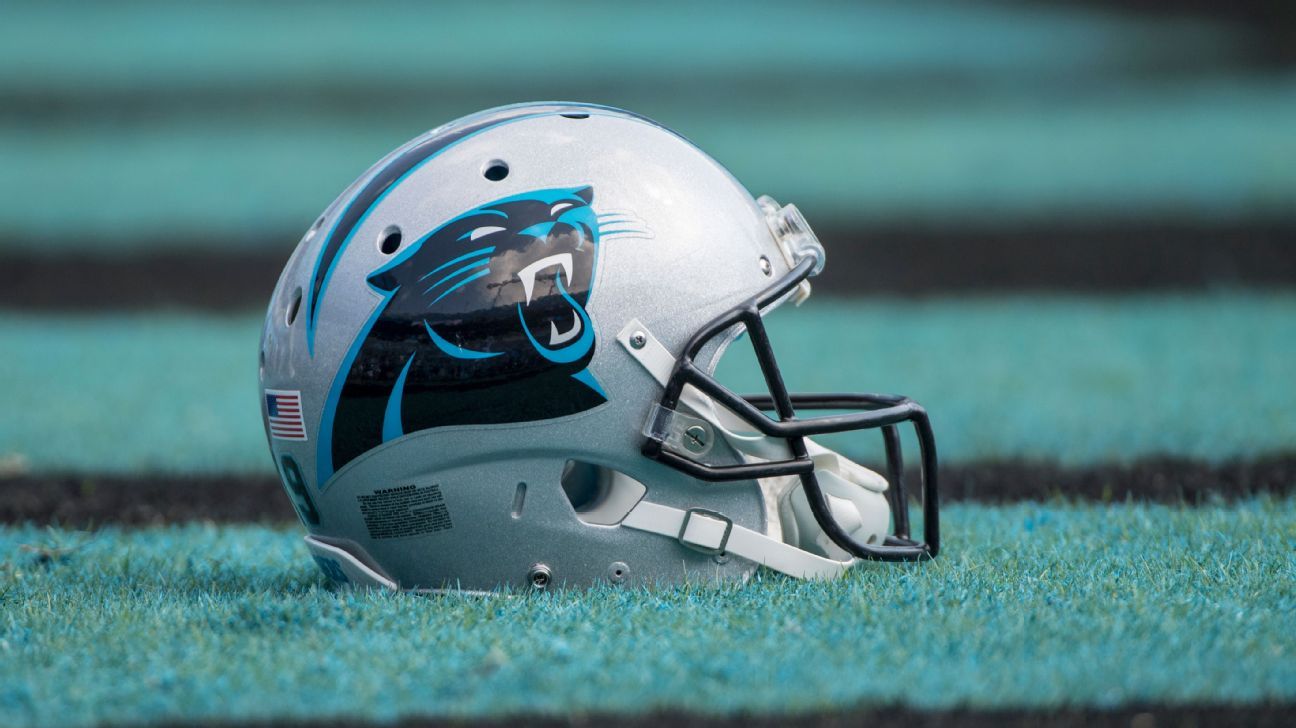 David Tepper signs Panthers purchase deal - ESPN