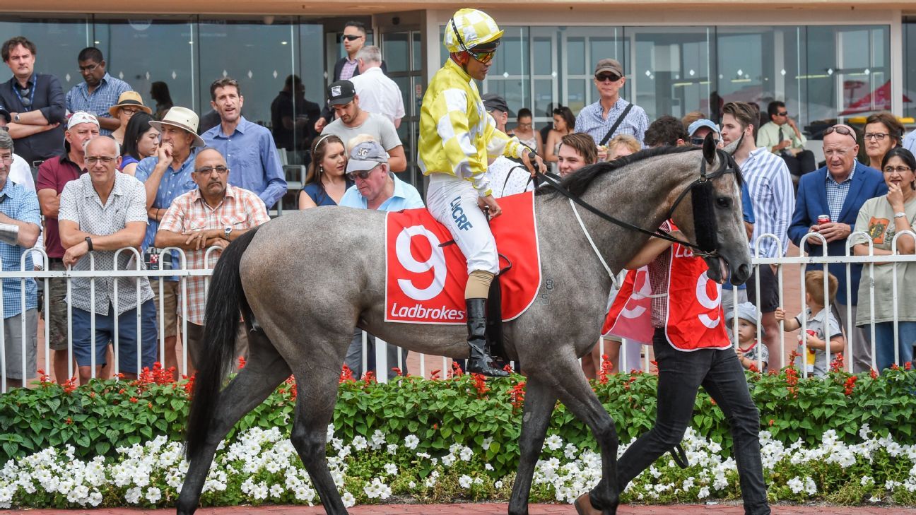 TAB Betting blog: Prepare for Pure Elation at Warwick Farm - ESPN
