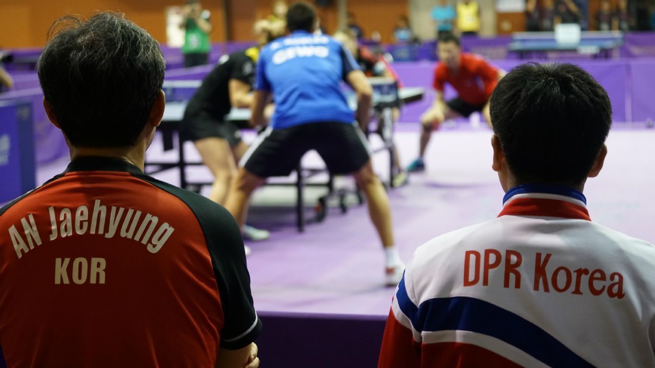 North and South Korea joint Olympics bid possible says South Korean ...