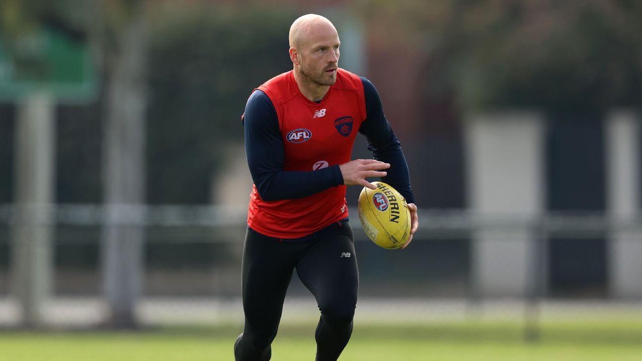 Demons' veteran Nathan Jones returns in time for birth of twins - ESPN