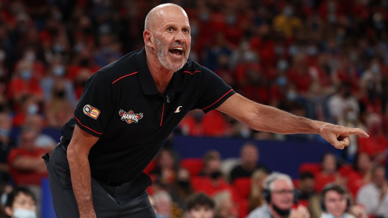 Goorjian steps down as Illawarrra Hawks coach - ESPN