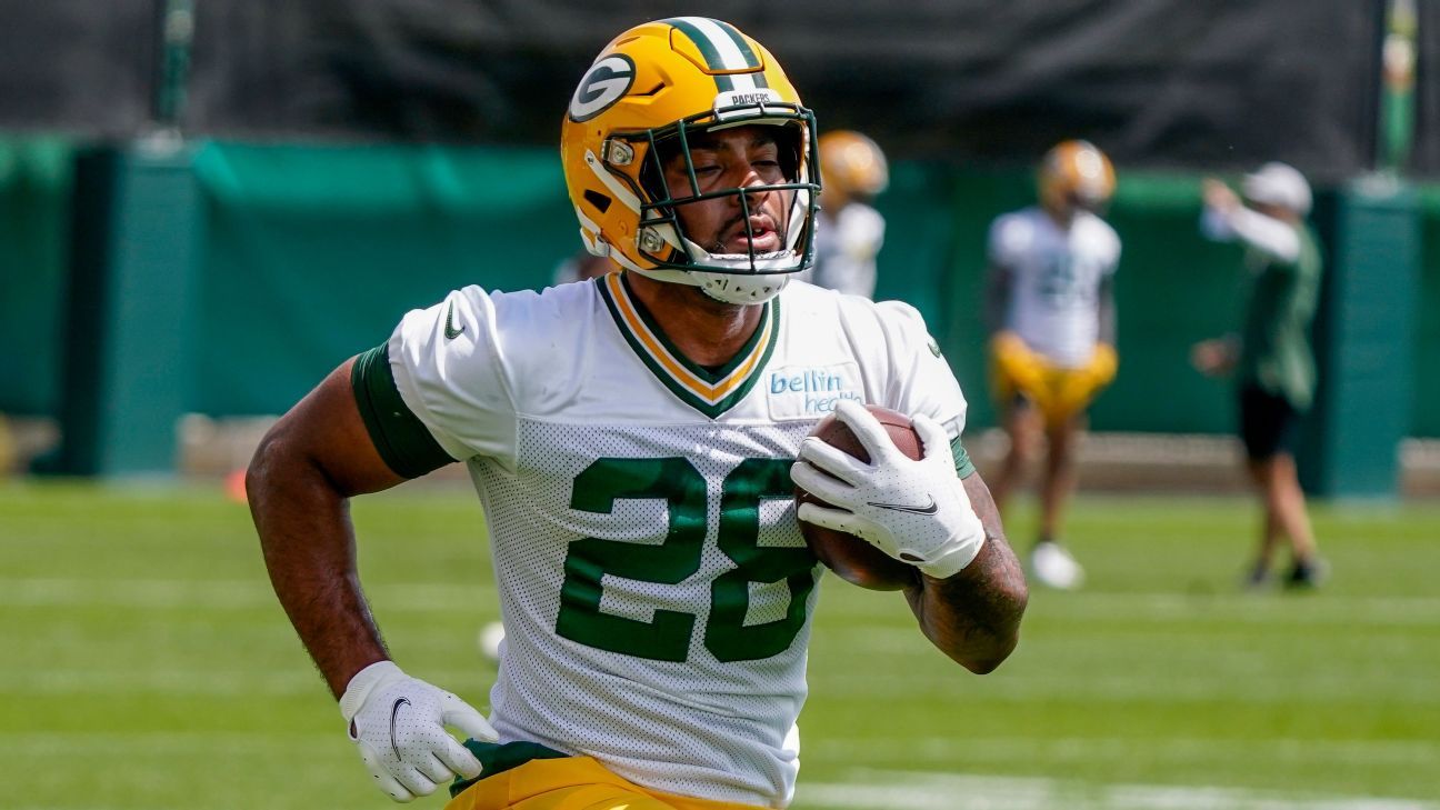 Fantasy football daily notes: Packers running backs, Tom Brady and Mike ...