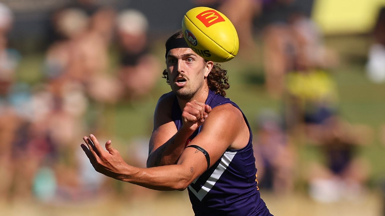 AFL Fremantle Dockers' Luke Jackson ruled out with head knock - ESPN