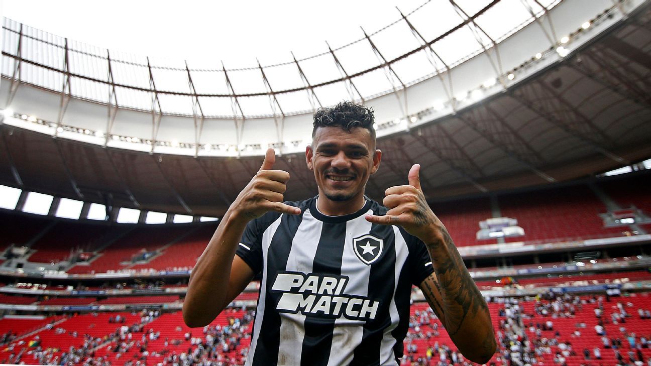 Tiquinho Soares, do Botafogo, é eleito melhor jogador do Brasileirão do ...