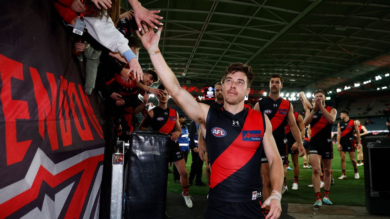 AFL I've never seen Essendon Bombers play better says captain Zach ...