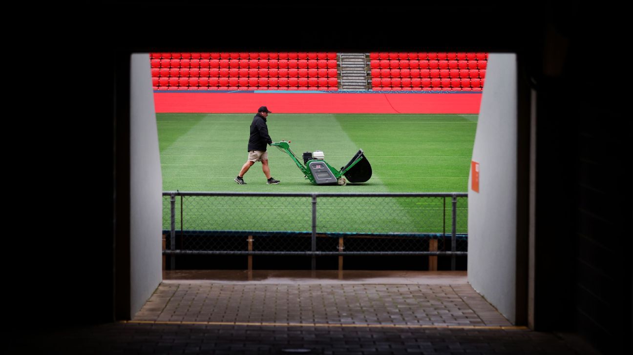 Meet the man in charge of every 2023 Women's World Cup pitch - ESPN