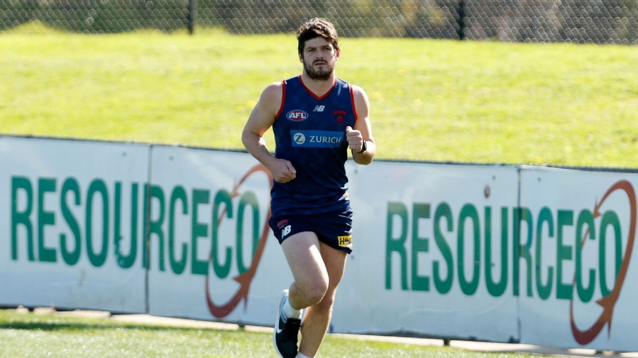 AFL Angus Brayshaw improving Christian Petracca Melbourne Demons - ESPN