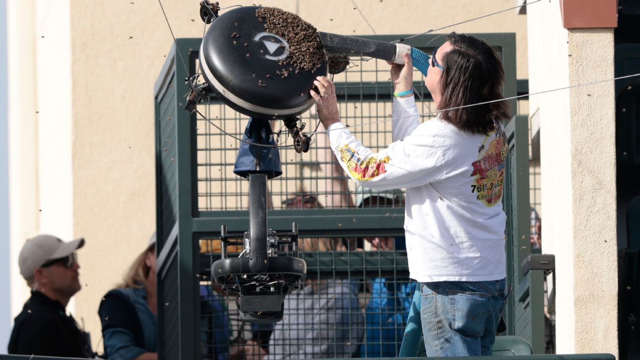 Quién es Lance Davis, el Killer Bee que sacó las abejas en Alcaraz ...