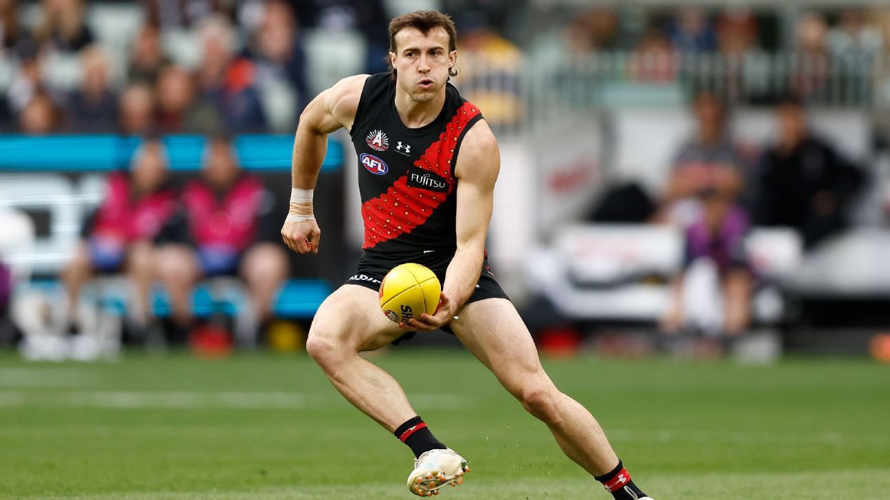 Bombers announce new captain as CEO calls it quits - ESPN