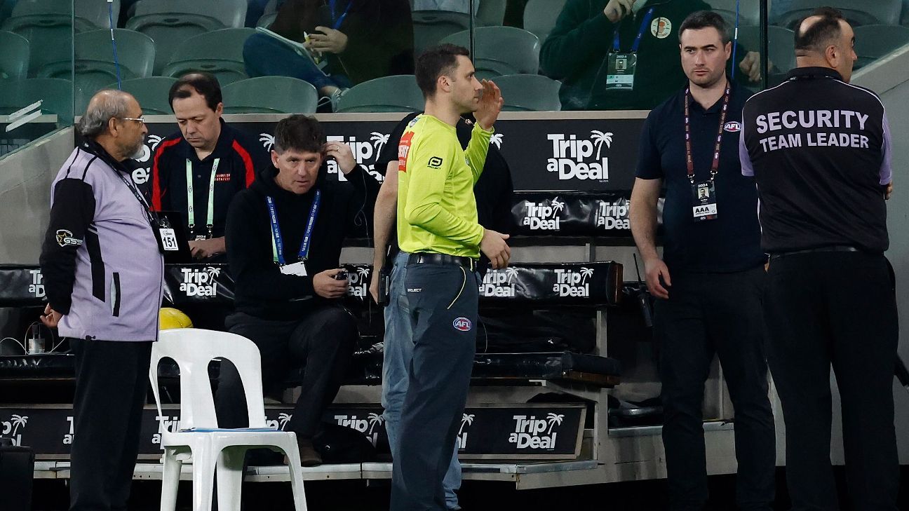 AFL fan banned for life after umpire hit with bottle - ESPN