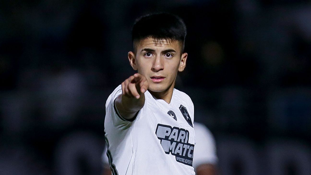 Siete argentinos buscarán la Libertadores en la final entre Mineiro y ...