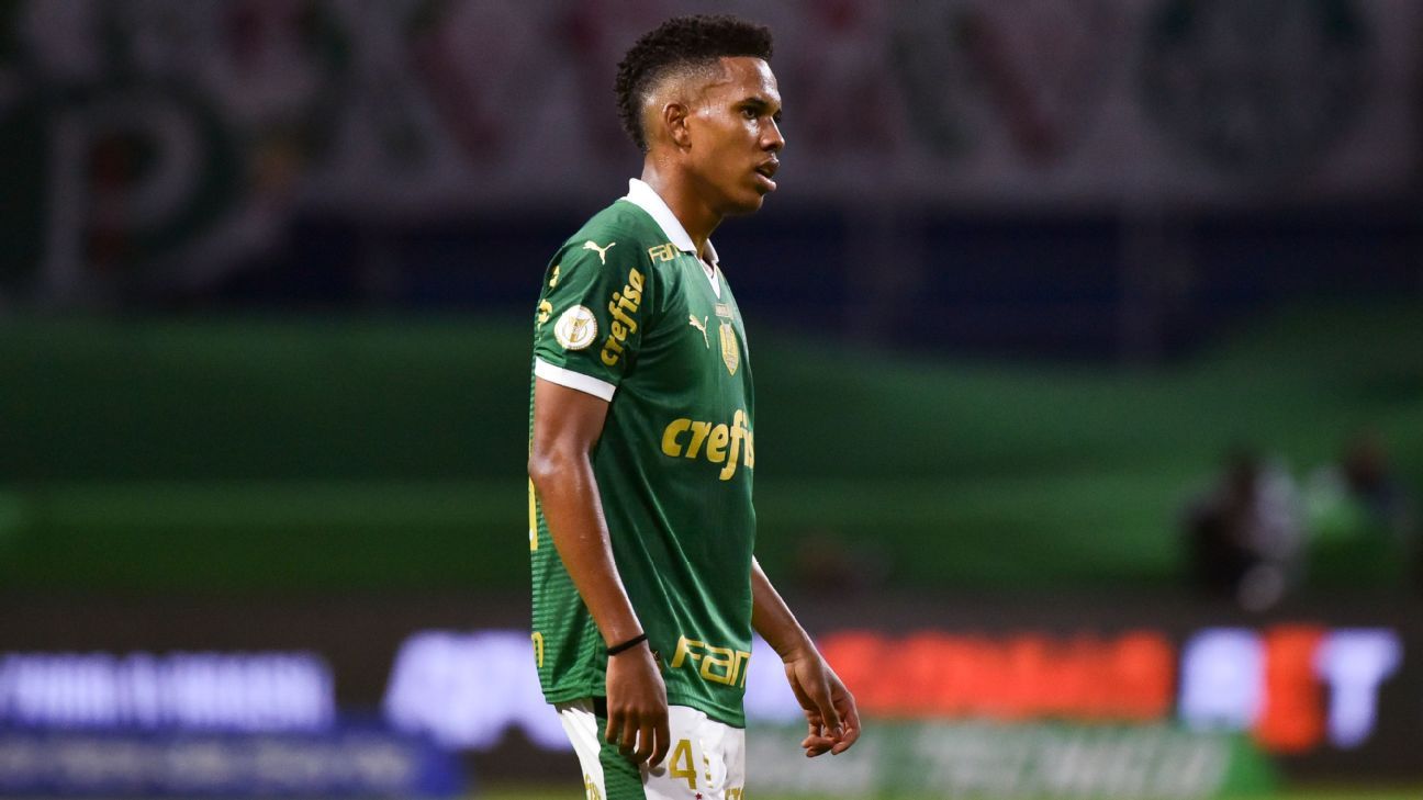 Estêvão termina o Brasileiro como destaque do Palmeiras, mas lamenta ...