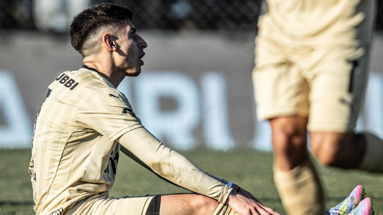 Video: El tremendo pelotazo de Leo Fernández que se llevó Ignacio Sosa ...