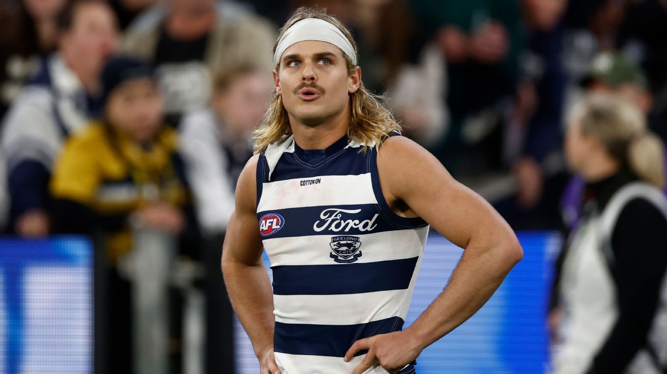 Cats star verbally abuses photographer at training - ESPN