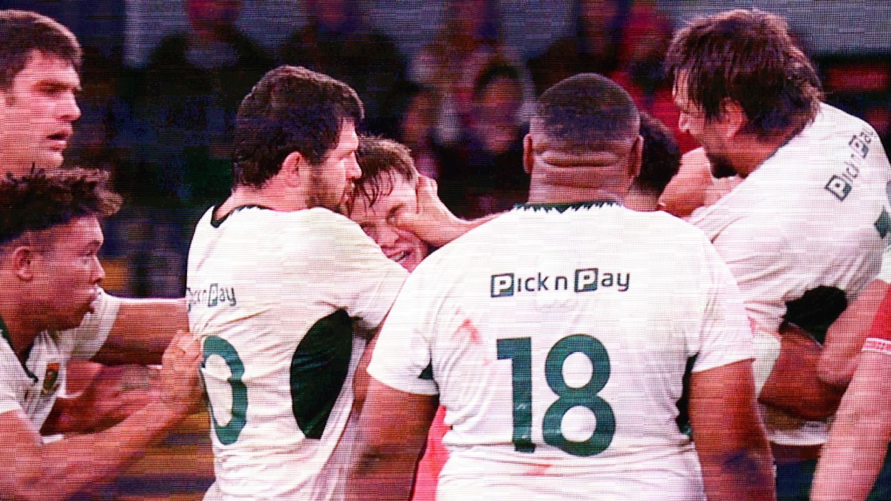 Eben Etzebeth: South Africa lock banned for 12 weeks for eye gouge - ESPN