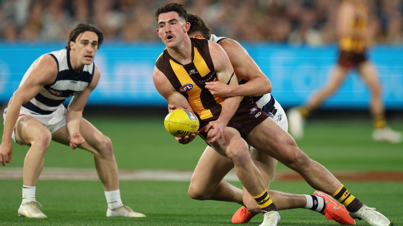 Hawks to appeal star midfielder's rough conduct ban - ESPN