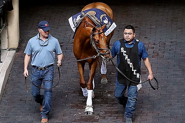 Gun Runner named Horse of the Year - ESPN