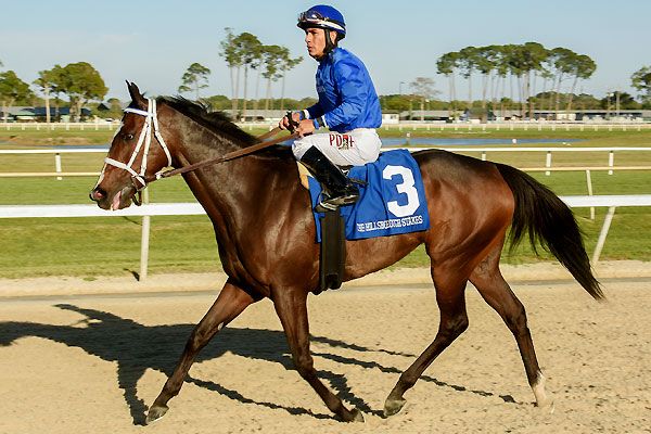 Dickinson outruns Isabella Sings to win Hillsborough - ESPN