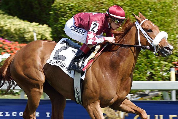 Lady Shipman a winner in stakes at Gulfstream - ESPN