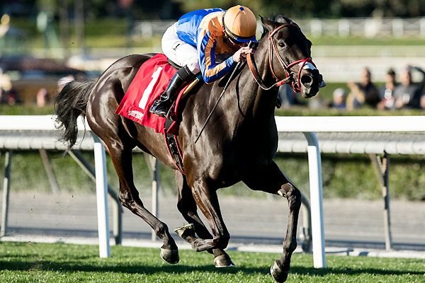 Coniah scores graded stakes win in Las Cienegas - ESPN
